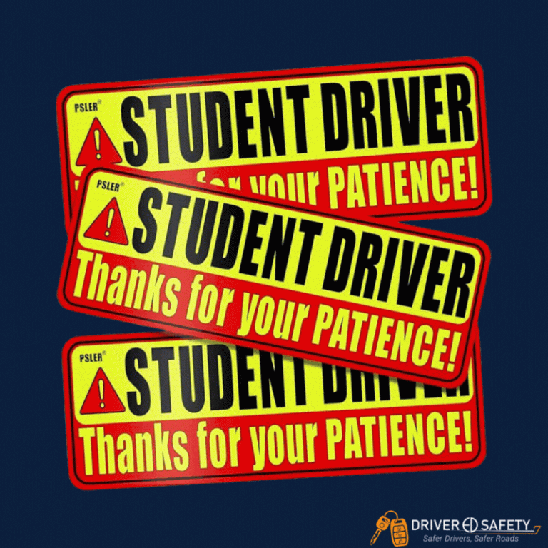 What to Do If Your Brakes Go Out – Driver Education Safety